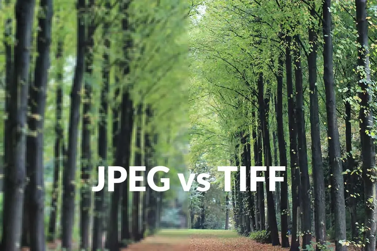 Tiff vs. Jpeg – Das altbekannte Duell | Terobes Arts